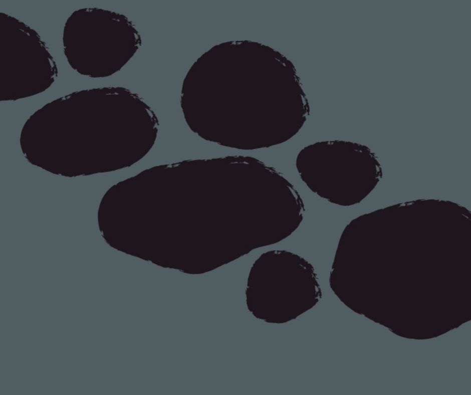 What does it mean to be "unwaveringly Christ-Centered"? - Living Stones ...